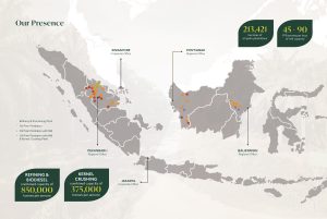 Location Map – First Resources Limited